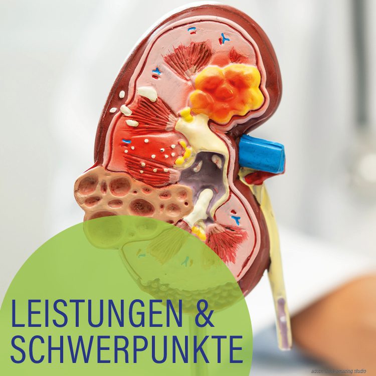 Nephrologie MVZ - St. Bernward Krankenhaus